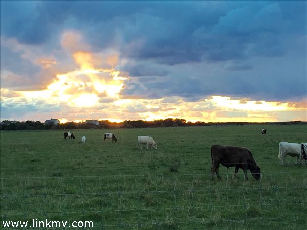 9 Katama Farm South # 9A and 9B