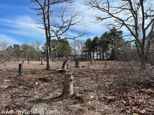 160 Plum Bush Point Road