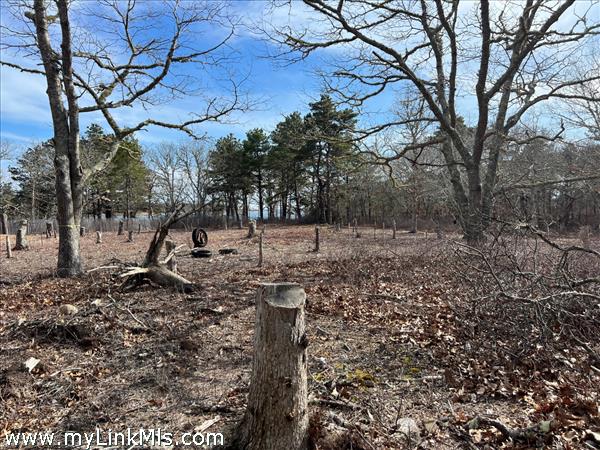 160 Plum Bush Point Road