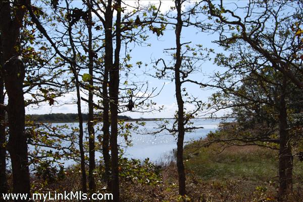 160 Plum Bush Point Road