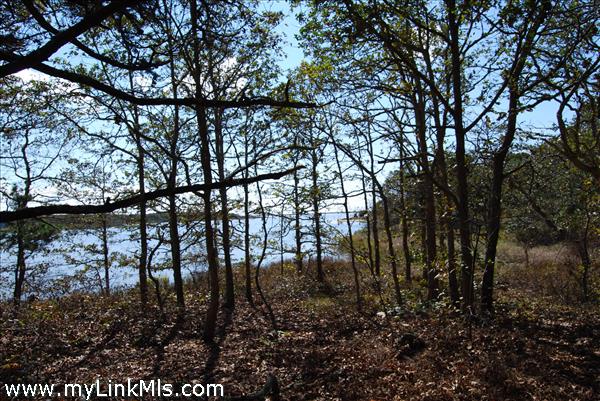 160 Plum Bush Point Road